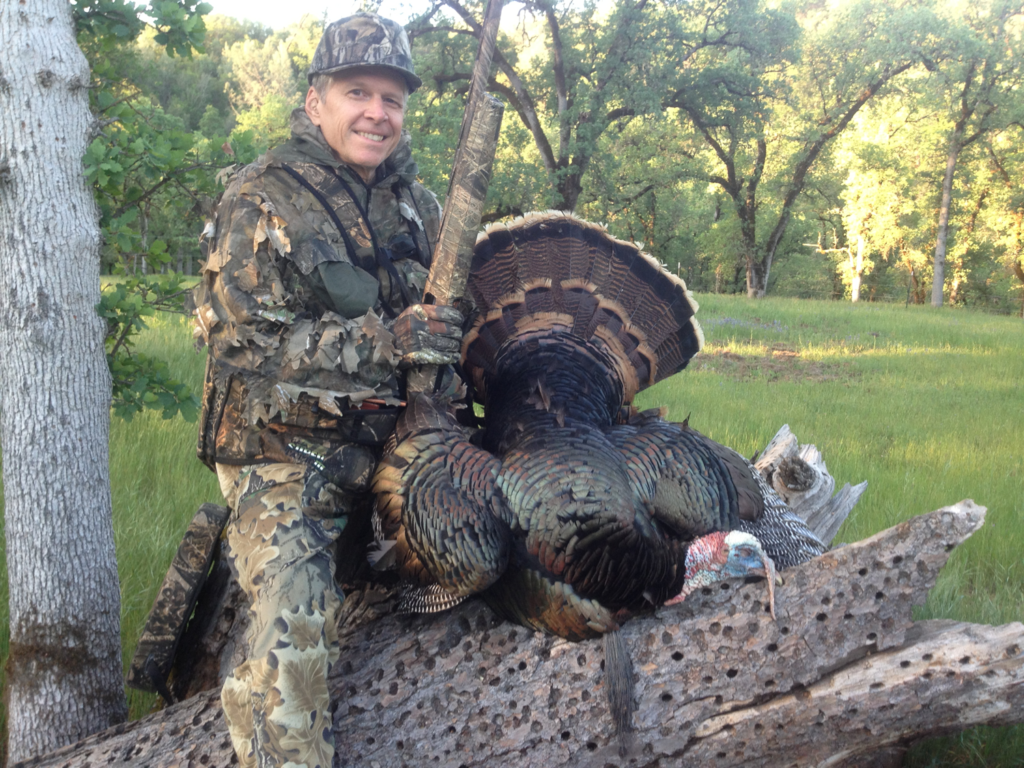 Northern California Turkey - Just For Hunting